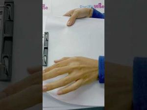 PVC Ring File/East File{Pre-Order}/2D Ring Binder/Fail Cincin PVC/Hard ...